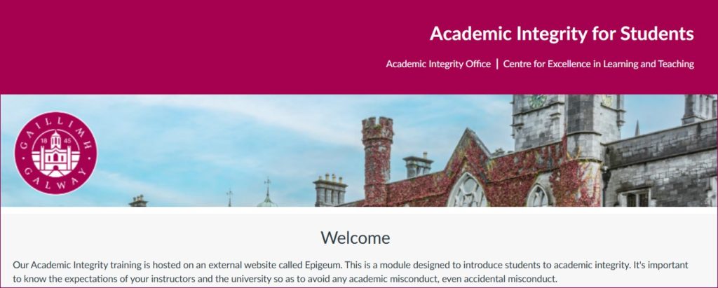 Academic Integrity – First Year In: FYI